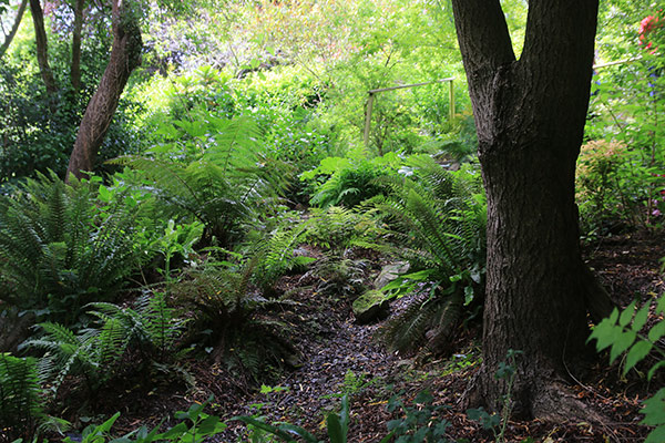 Le jardin du coteau de la Croûte - Arrosoirs et Sécateurs